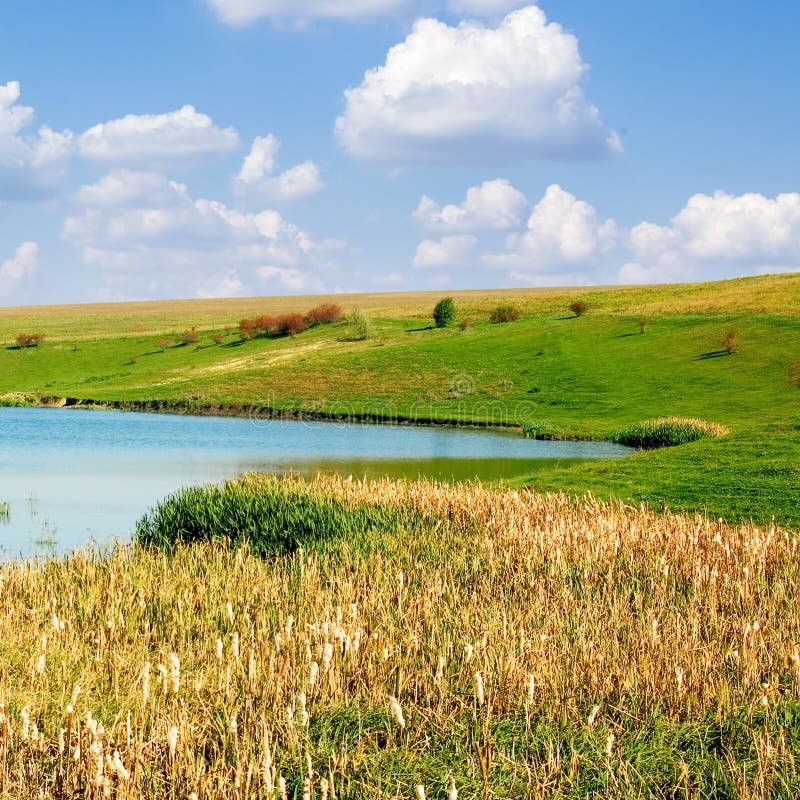 Lake stock image. Image of autumn, heavens, beach, bulrush - 3769285