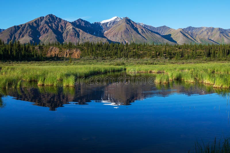 Lake on Alaska stock photo. Image of hiking, mountains - 28854522