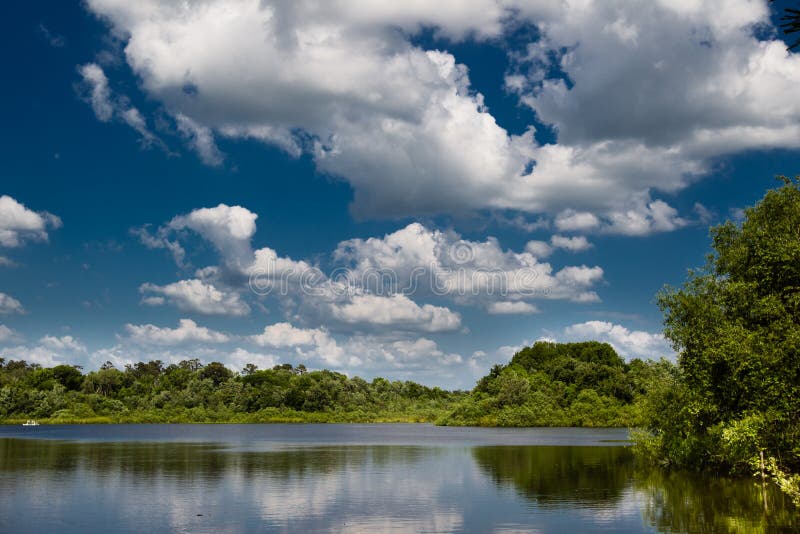 Lake Alice in gainesville stock image. Image of leaf - 14255079