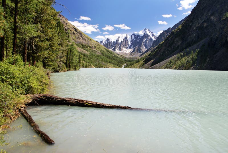 Lake in Altai stock image. Image of tree, wood, altai - 6757585