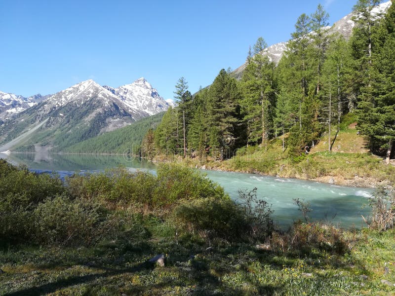 Lake in the Altai stock image. Image of trees, plant - 167386993
