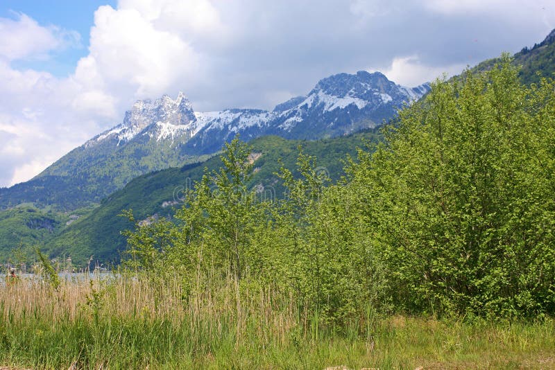 Lake Annecy stock image. Image of forest, spring, alpine - 55309143