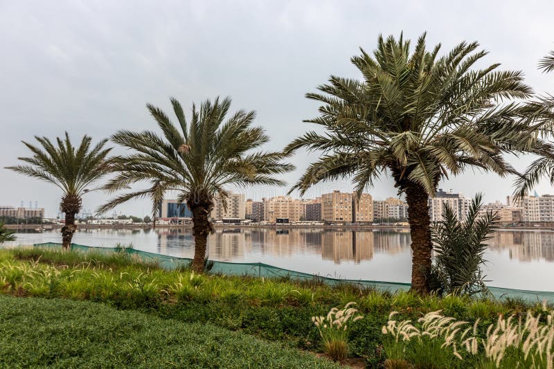 Lake Arbaeen in Jeddah, Saudi Arab Stock Photo - Image of urban, park ...