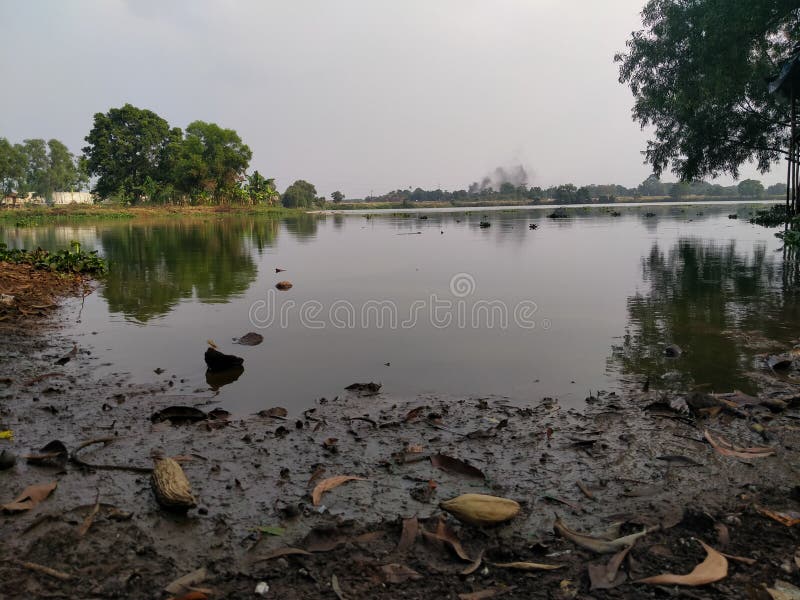 Lake Atmosphere during the Day Stock Image - Image of tranquil, tree ...