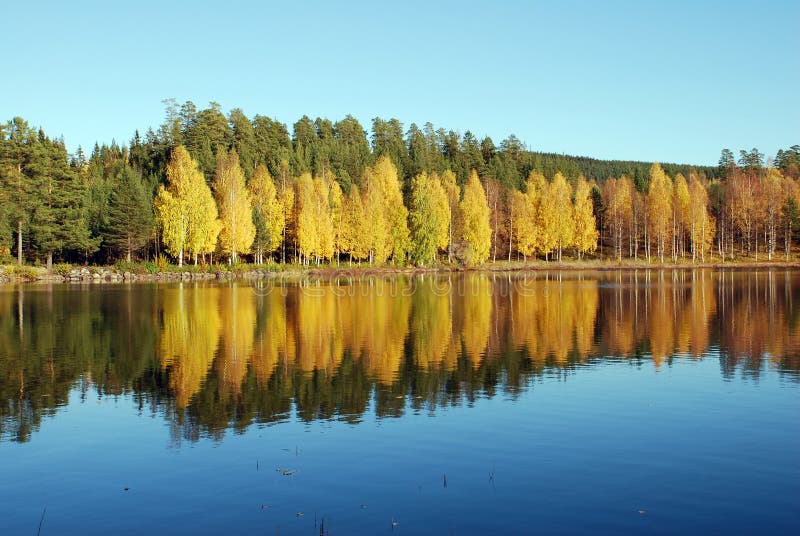 Autumn Trees Reflected in Blue Lake in Fall Stock Image - Image of ...