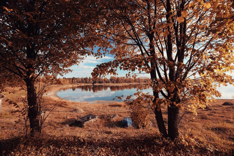 Lake among Autumn Orange Forest Stock Image - Image of countryside ...