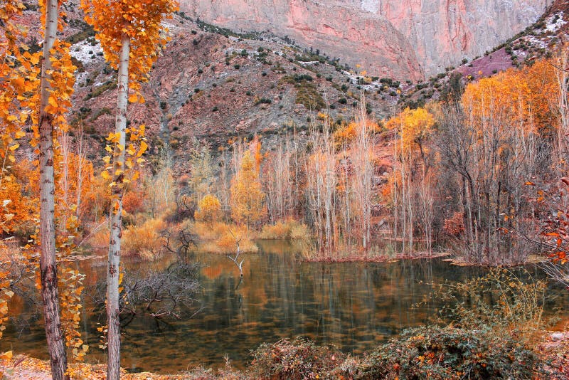 Lake and autumn trees stock image. Image of autumn, taghia - 191627087