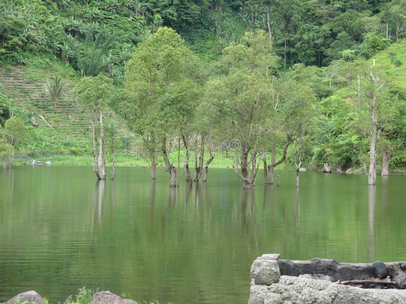 Lake balinsasayaw stock image. Image of balinsasayaw - 46806073