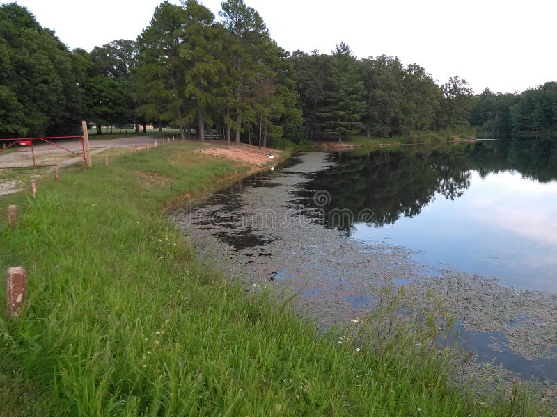 The lake bank stock image. Image of walk, bank, nature - 76221619