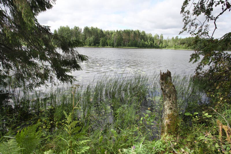 Lake bank stock photo. Image of relaxation, journey, summer - 36877862
