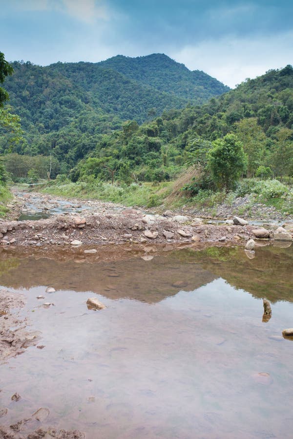 Lake bank stock image. Image of clean, scenery, park - 75081517