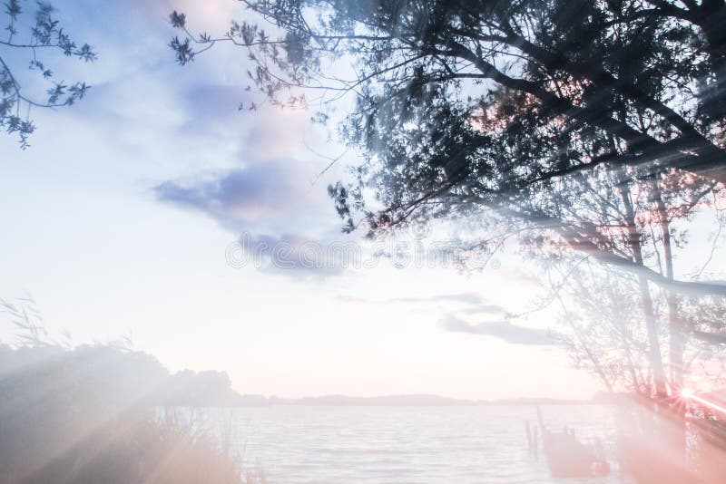 Lake bank stock photo. Image of bank, freezing, plant - 32735038