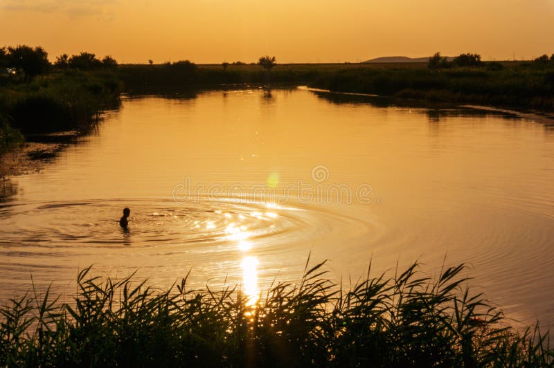 Lake Bath during Hot Summer Day Stock Image - Image of cooling, taking ...