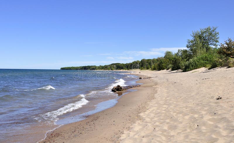 Lake beach stock photo. Image of sand, vacation, forest - 16243048