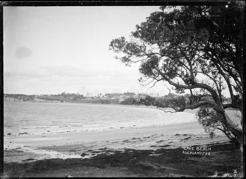 Lake Beach, Takapuna Picture. Image: 222366766