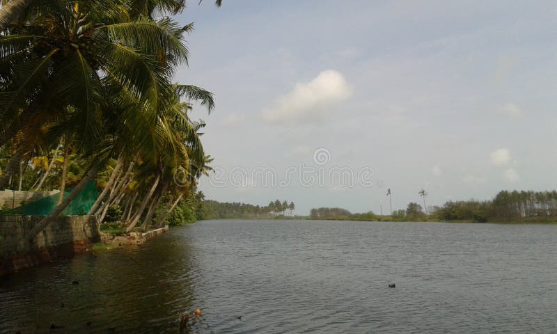 Kappil Lake stock image. Image of nature, kappil, beautiful - 135361909