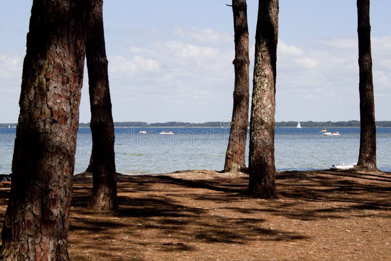 Lake Behind Some Trees with Pedal Boats Stock Image - Image of holidays ...