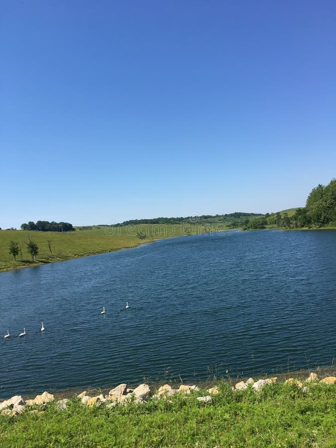 Lake with birds stock image. Image of rocks, lake, birds - 98050563