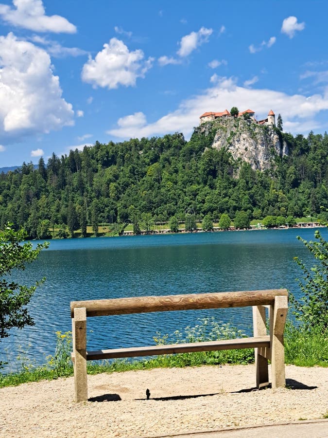 Catle on the lake stock photo. Image of fantasy, consept - 113243660