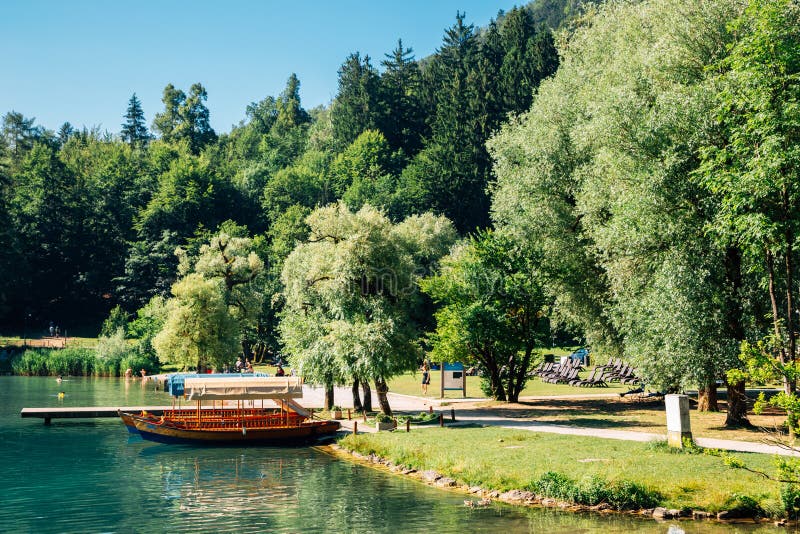 Lake Bled and Forest Road in Slovenia Stock Image - Image of famous ...