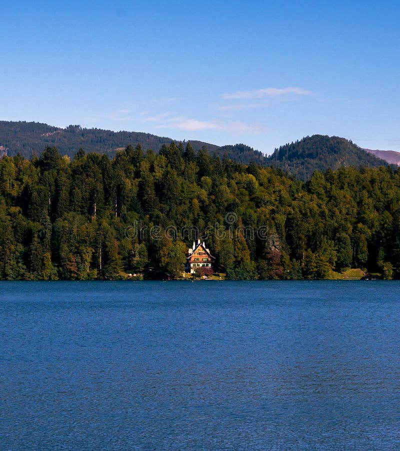 Hoise Forest Stock Photos - Free & Royalty-Free Stock Photos from ...