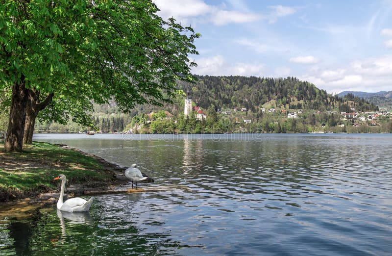 Lake Bled in Slovenia, Spring 2015 Stock Image - Image of mountains ...