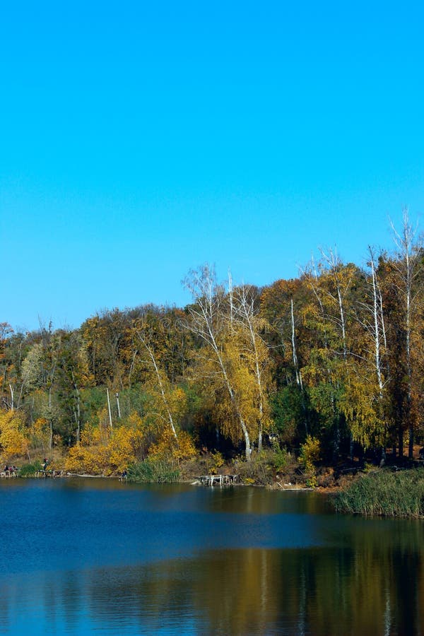 Lake, Blue Sky and Forest, Vertical View. Beautiful Landscape. Abstract ...