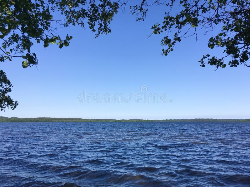 Lake with Blue Water. Tree Branches in the Foreground Stock Photo ...
