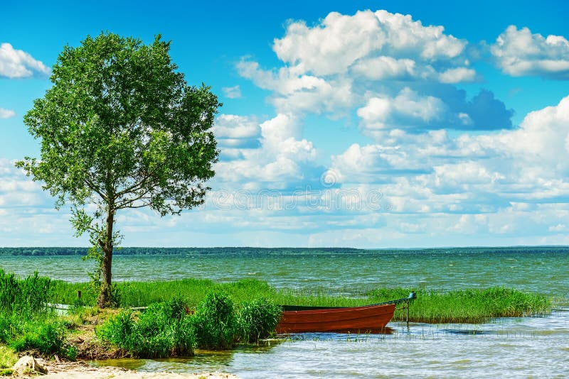 Lake, boat and tree stock photo. Image of brazil, montenegro - 33570360