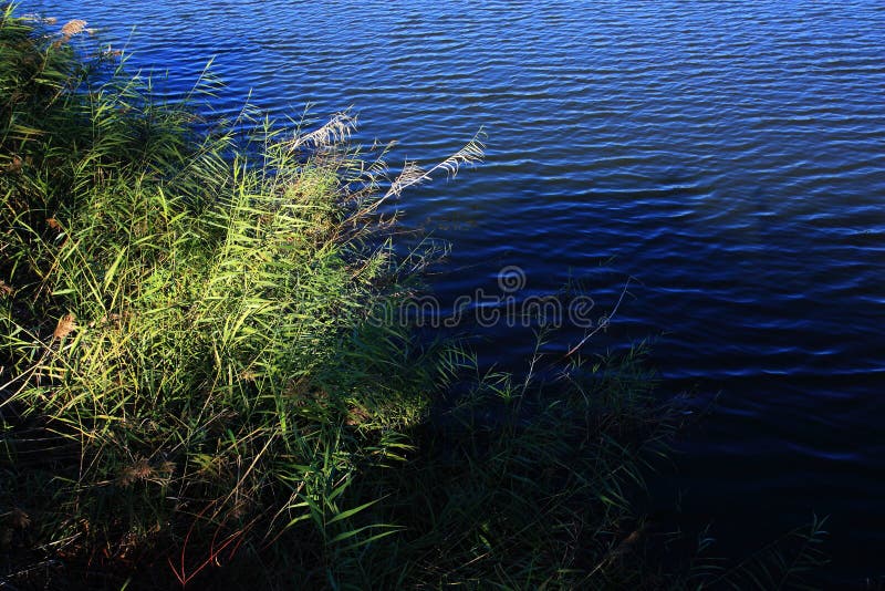Lake Border stock image. Image of outdoor, still, maple - 16520869