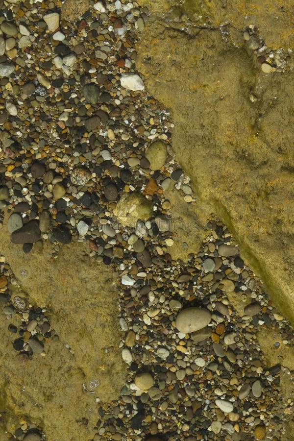 Lake Bottom stock image. Image of ocean, michigan, lakes - 20905555