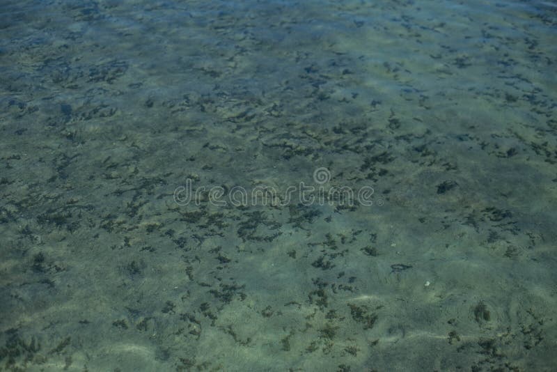 Lake bottom stock image. Image of blue, thrue, lake, bottom - 88162133