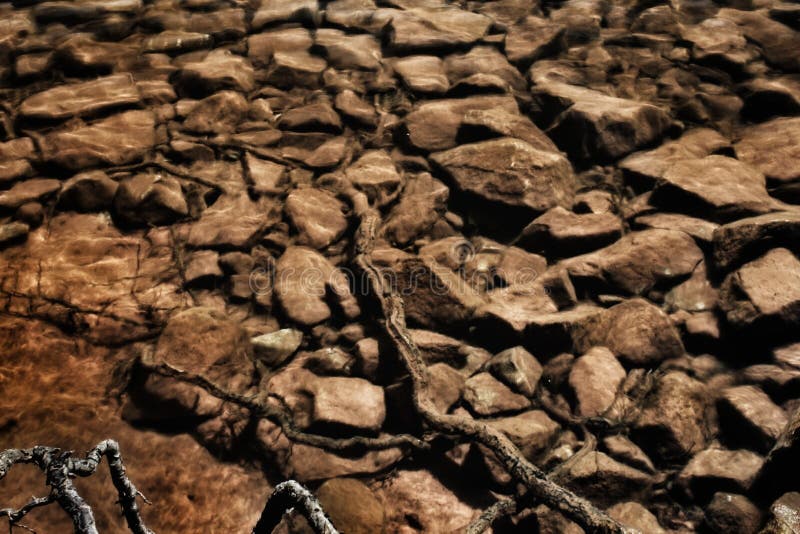 Lake Bottom stock image. Image of lake, rocks, branches - 124555489