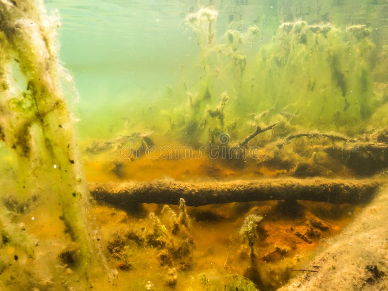 Lake Botton with Colourful Iron and Algae Sediment Stock Image - Image ...
