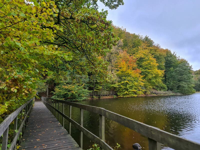 Lake Bridge Walk Hike Sweden Water Autumn Fall Stock Photo - Image of ...