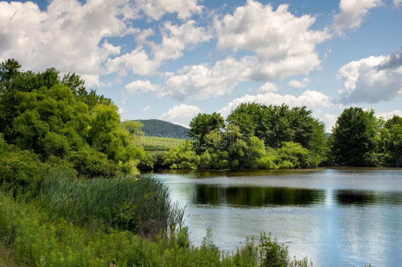 Lake and Bulrushes stock photo. Image of reflections - 95075114