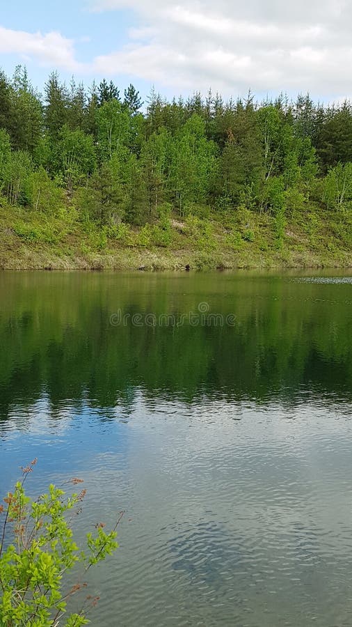 Lake in the bush stock image. Image of water, nature - 186152809