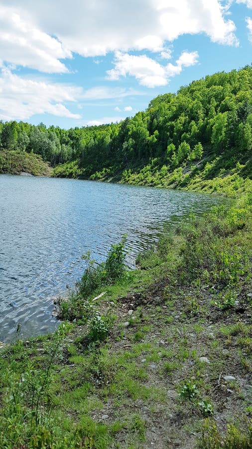 Lake in the bush stock photo. Image of plant, pond, leaf - 186152858