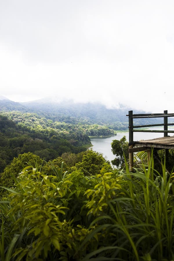 Lake Buyan at Bali Island in Indonesia Stock Photo - Image of forest ...