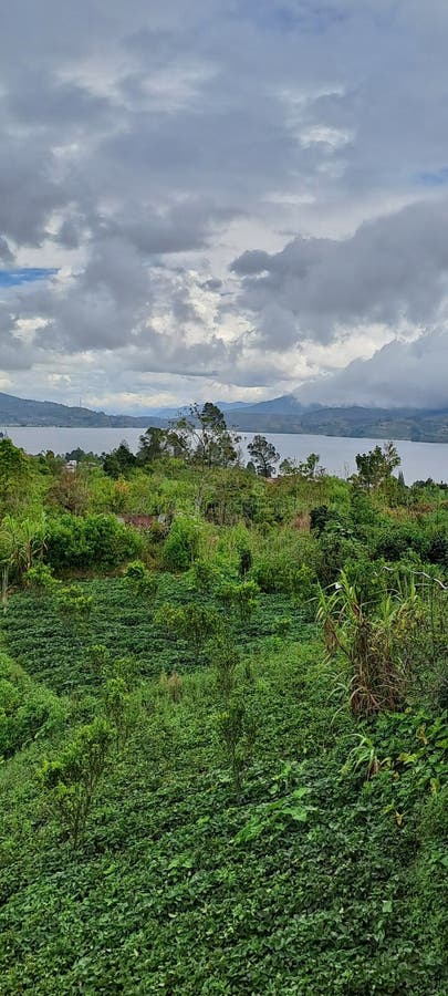 A Lake Called Lake Ateh is Located in the Long Land of West Sumatra ...