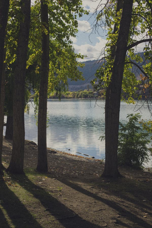 Lake stock photo. Image of blue, lake, calm, trees, calming - 259716074