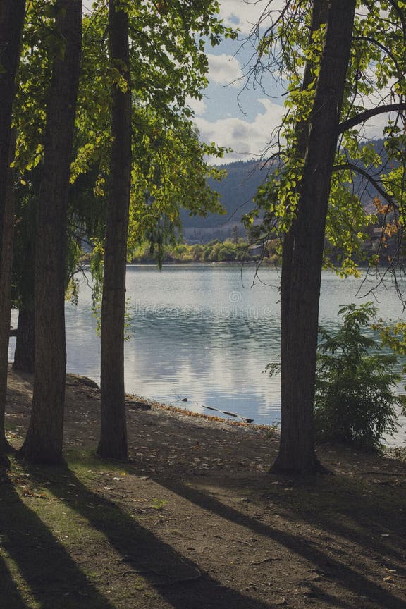 Lake stock photo. Image of blue, lake, calm, trees, calming - 259716074