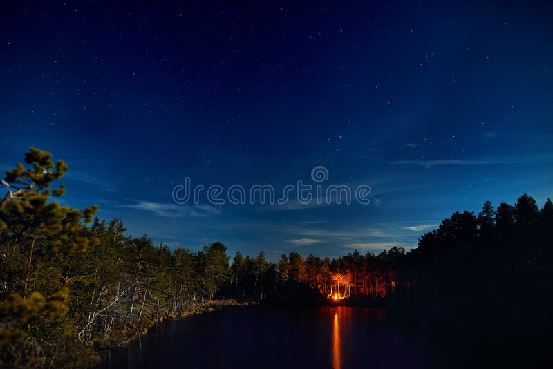 Forest And Lake Near The Mountain At Night Stock Photo - Image of ...
