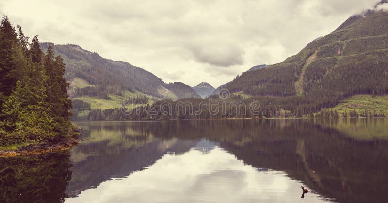 Lake in Canada stock photo. Image of landscape, inspiring - 254107696
