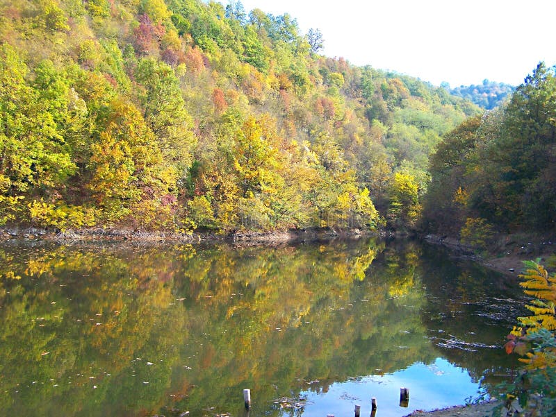 Lake Celije in autmun stock photo. Image of celije, tree - 112701860