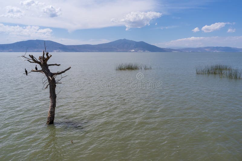 Lake Chapala and Mountains on Horizon from Ajijic Stock Photo - Image ...