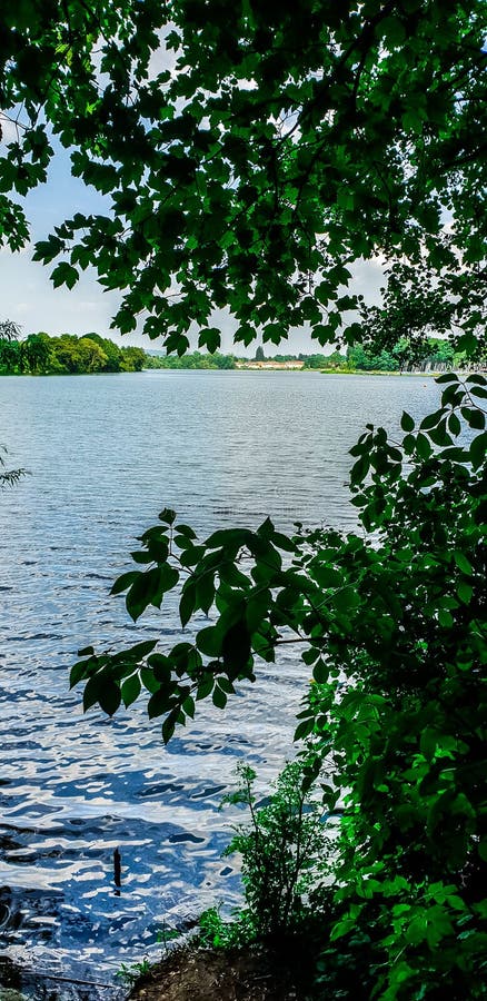 Chipstead Lake Stock Photos - Free & Royalty-Free Stock Photos from ...
