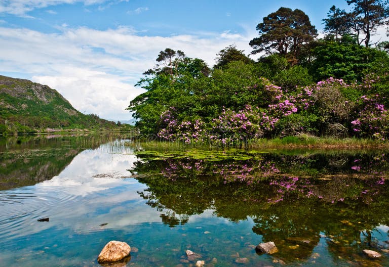 Lake in Connemara, Ireland stock image. Image of bush - 27097947