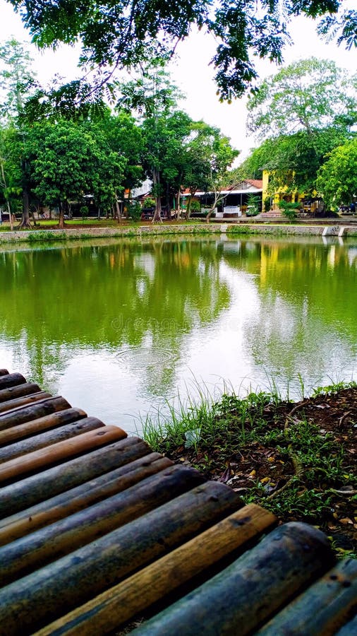 Beside the Lake, Cool View, Very Good for Background or Wallpaper Stock ...