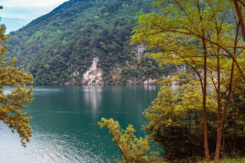 Lake of Corlo stock photo. Image of trees, nature, dolomites - 152019402